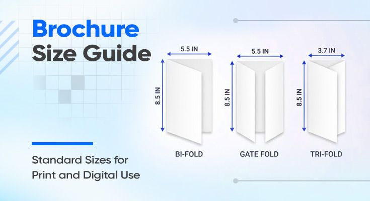 Brochure Size Guide 2026: Standard Dimensions for Print & Digital