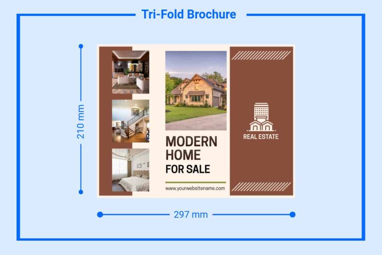 Brochure Size Guide 2026: Standard Dimensions for Print & Digital